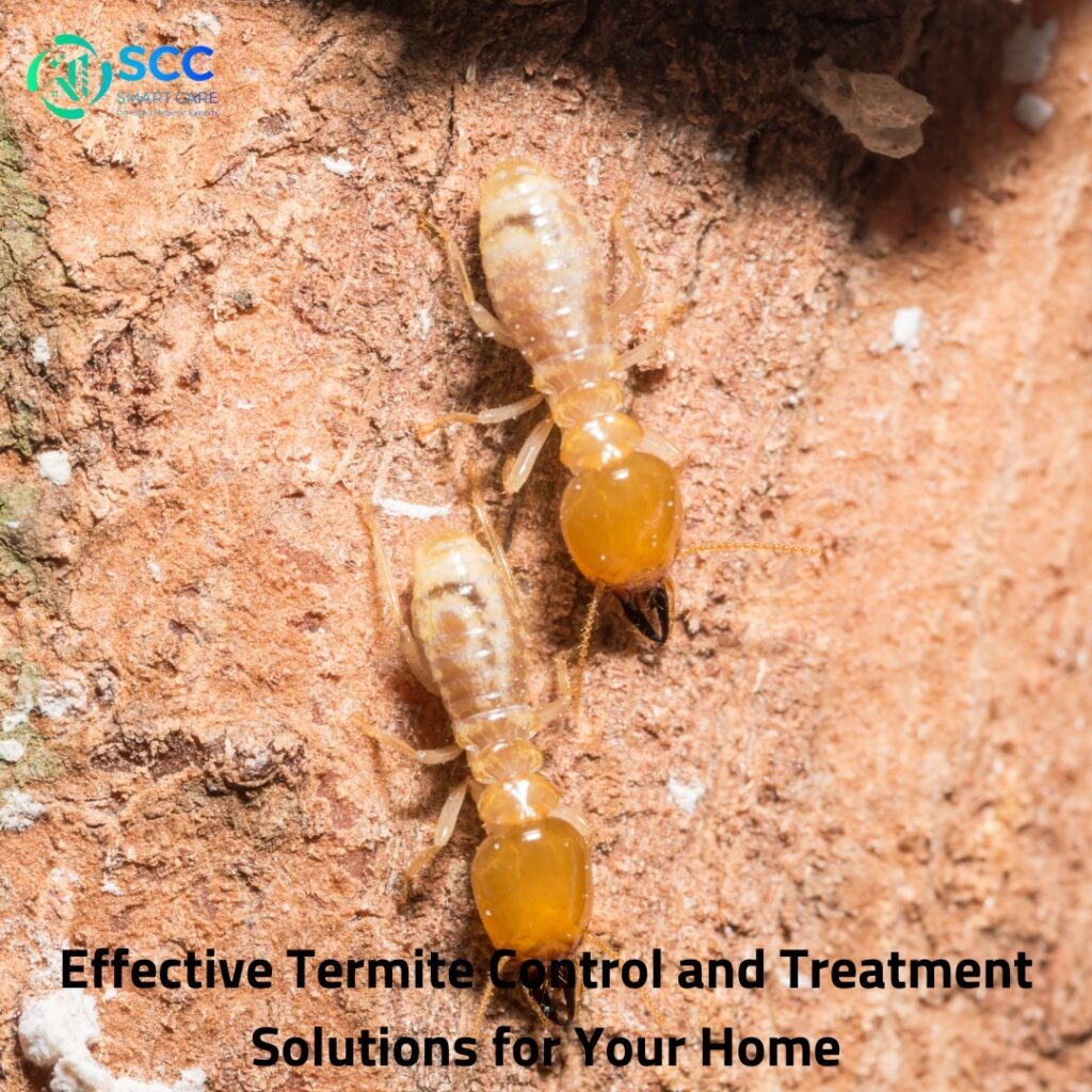 Smart Care Termite Control | Protection for Your Property