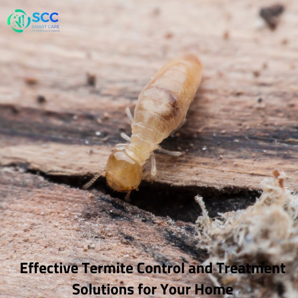 Smart Care Termite Control | Protection for Your Property